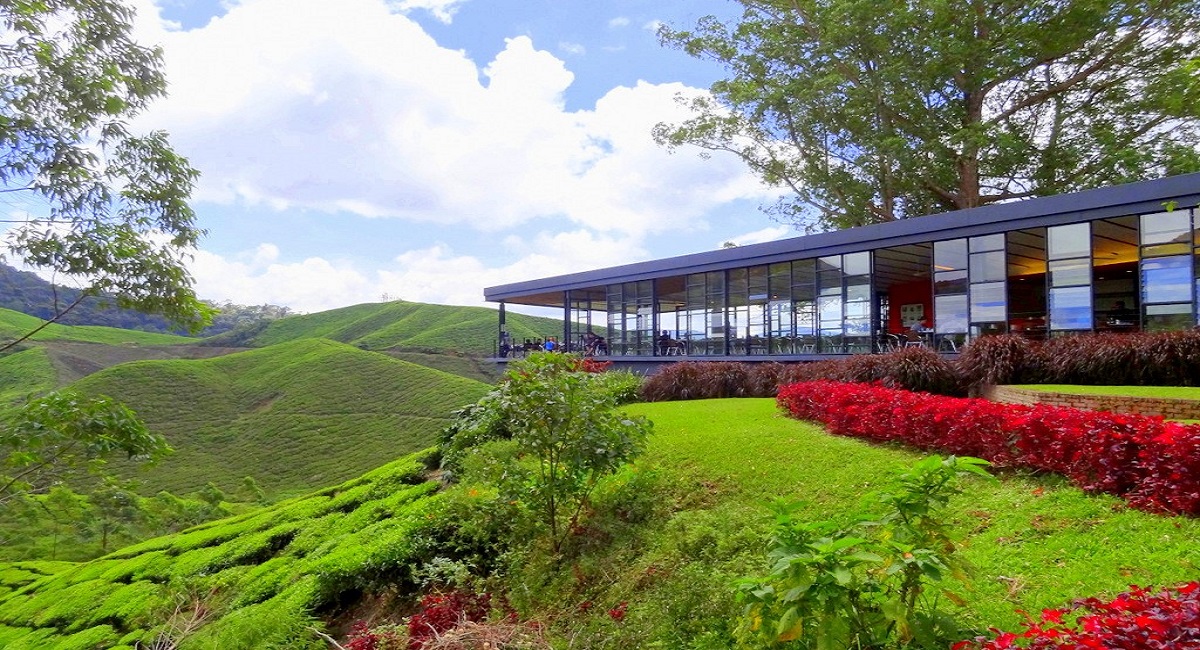 Cameron Highlands Tour | Yahala International